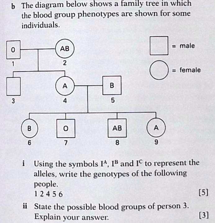SOLVED: The diagram below shows a family tree in which the blood group ...