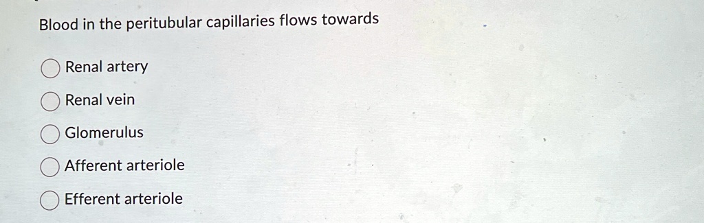 blood in the peritubular capillaries flows towards renal artery renal ...