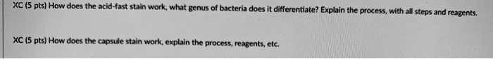 SOLVED: XC (5 pts) How dbes the acid-fast stain work; what Fenus ol ... SOLVED: XC (5 pts) How dbes the acid-fast stain work; what Fenus ol ...