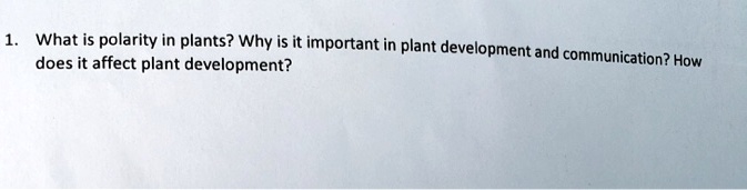 SOLVED: What is polarity in plants? Why' is it important in plant ...