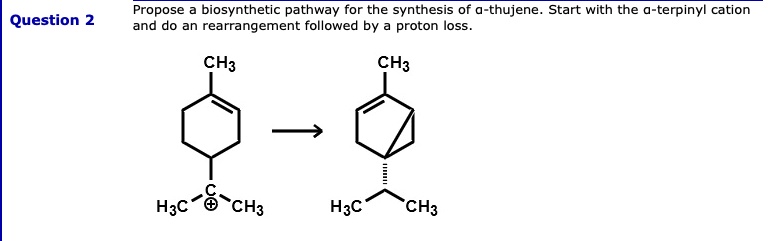 Question 2 Propose a biosynthetic pathway for the synthesis of α ...