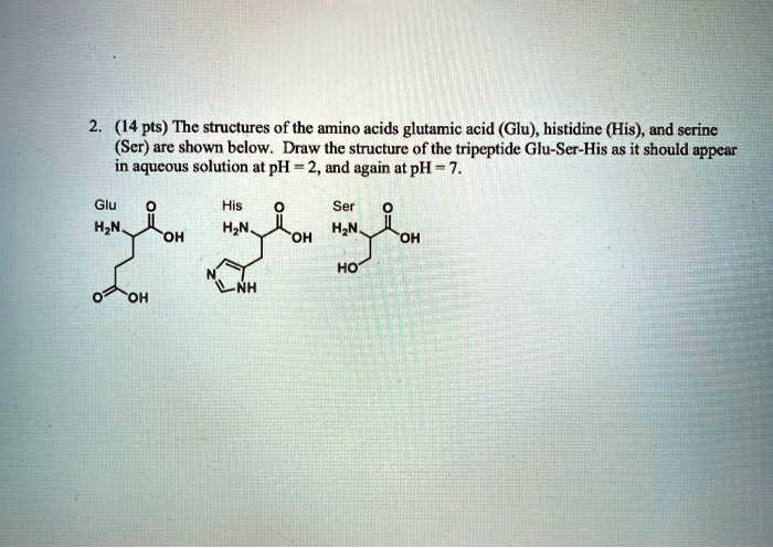 SOLVED: (14 pts) The structures of the amino acids glutamic acid (Glu ...