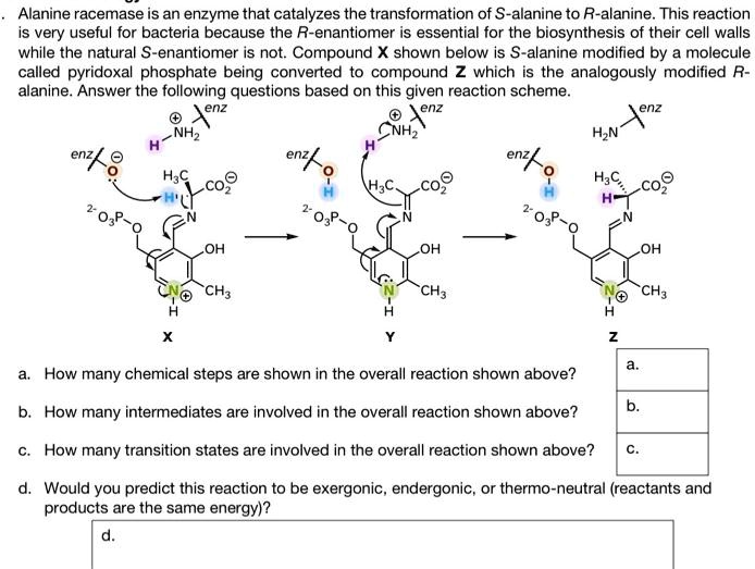 . Alanine racemase is an enzyme that catalyzes the transformation of S ...