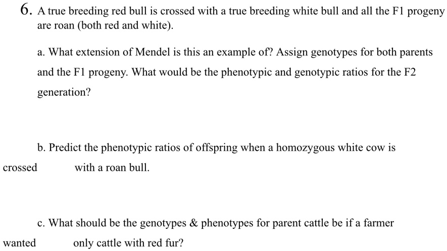 SOLVED: 6. A true-breeding red bull is crossed with a true-breeding ...