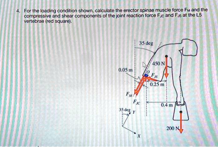 SOLVED: It's a biomechanics course. For the loading condition shown ...