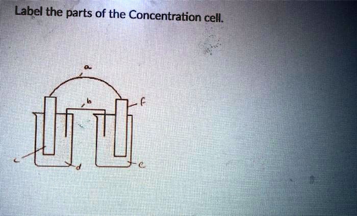 SOLVED: 'Label the parts of the Concentration cell.