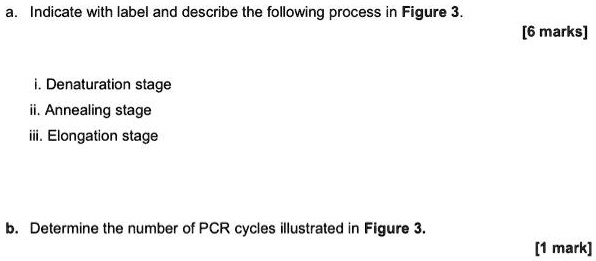 SOLVED: Indicate with label and describe the following process in ...