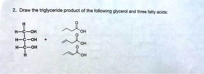 SOLVED: Draw the triglyceride product of the following glycerol and ...