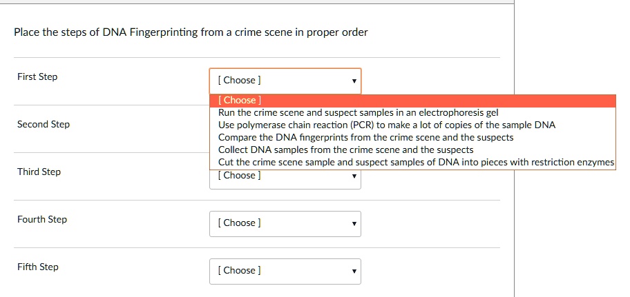 place the steps of dna fingerprinting from crime scene in proper order ...