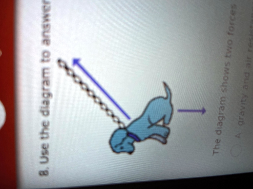 SOLVED: The diagram shows two forces acting on the dog. What are these ...