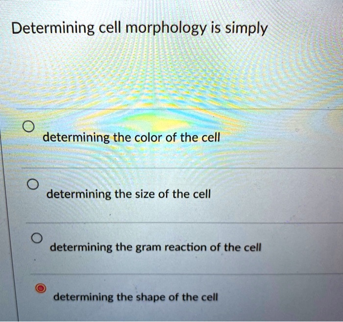 [GET ANSWER] determining cell morphology is simply determining the ...