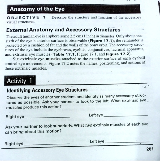 SOLVED: Anatomy of the Eye OBJECTIVE: Describe the structure and ...
