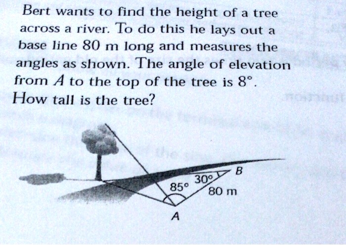 bert wants t0 find the height of a tree across a river to do this he ...