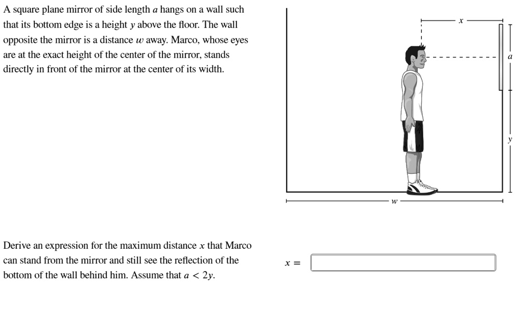 a square plane mirror of side length a hangs on a wall such that its ...