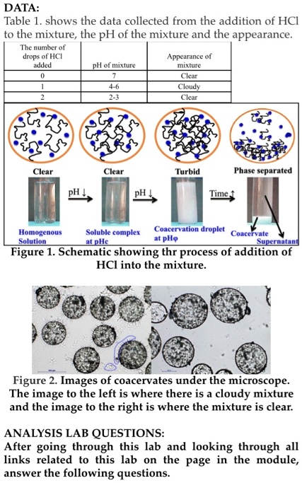 SOLVED: DATA: Table 1 shows the data collected from the addition of HCl ...