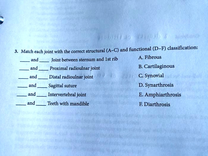 3. Match each joint with the correct structural (A-C) and functional (D ...