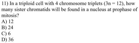SOLVED: 11) In a triploid cell with 4 chromosome triplets (3n = 12 ...