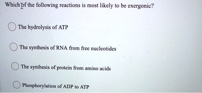 SOLVED: Whichpf the following reactions is most likely to be exergonic ...