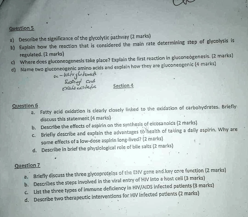 SOLVED: Question 5: a) Describe the significance of the glycolytic ...