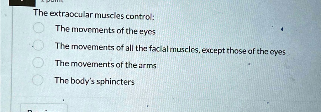 The extraocular muscles control: The movements of the eyes The ...
