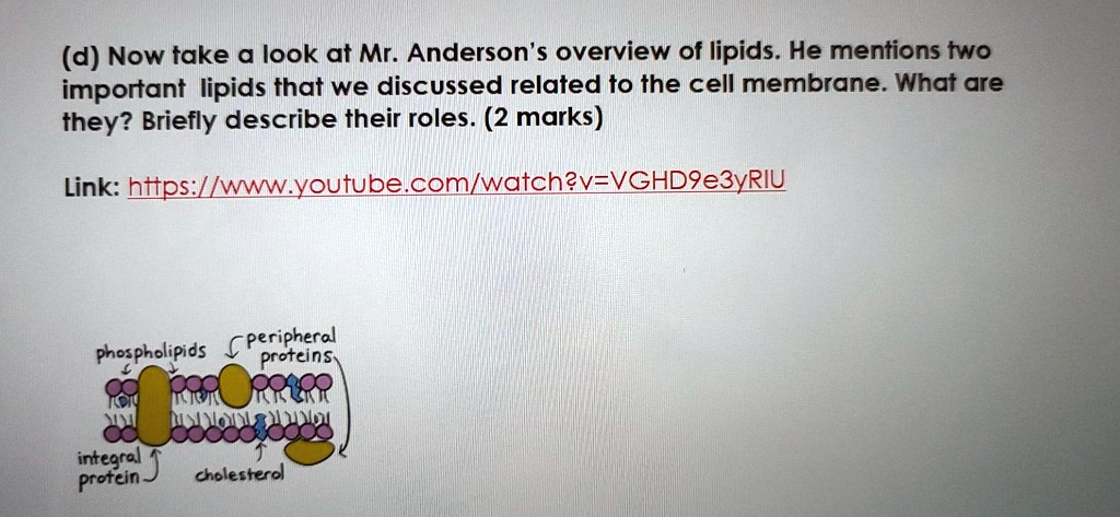 SOLVED: Now take a look at Mr. Anderson's overview of lipids. He ...