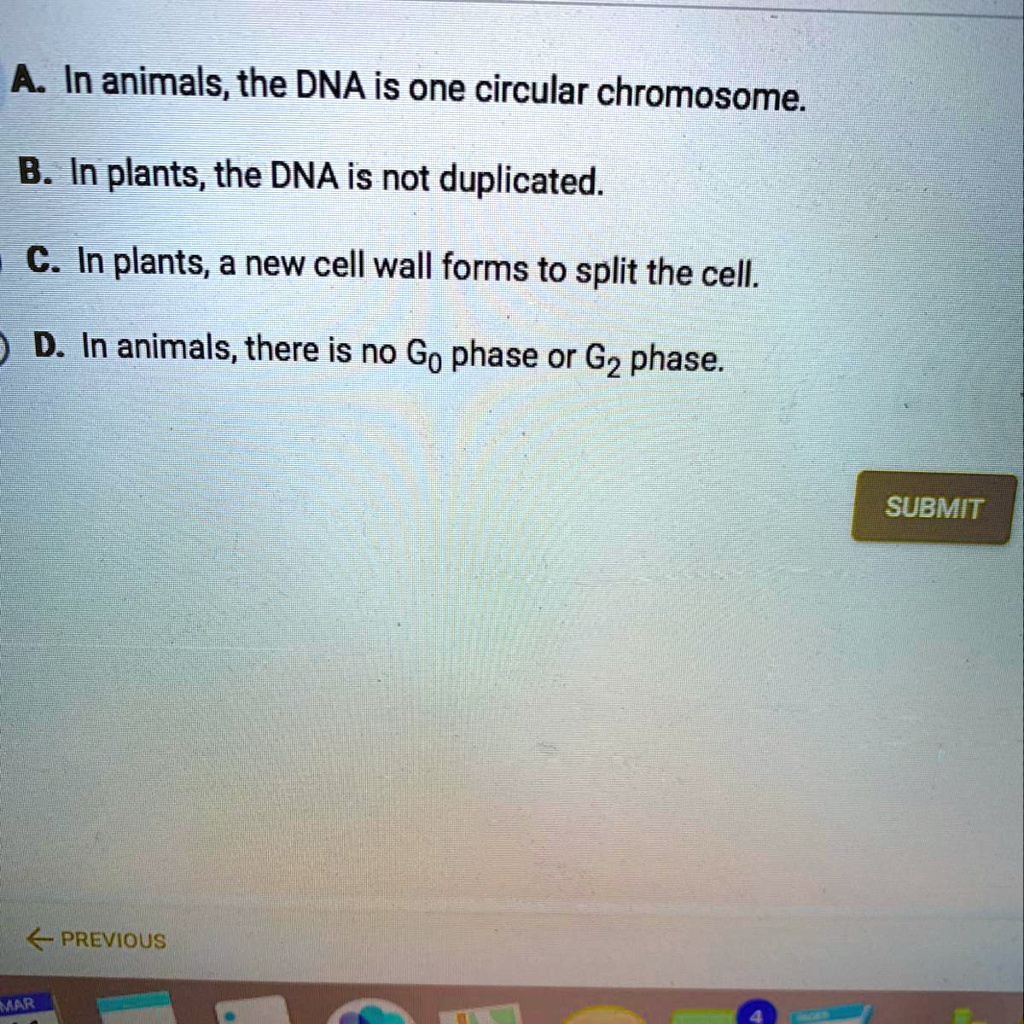 A. In animals, the DNA is one circular chromosome. B. In plants, the ...