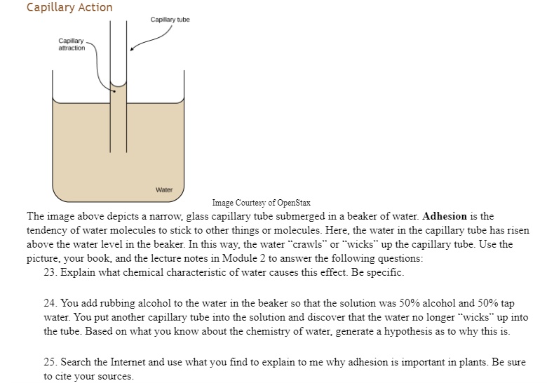 Capillary Action Capillary tube Capillary attraction Water Image ...