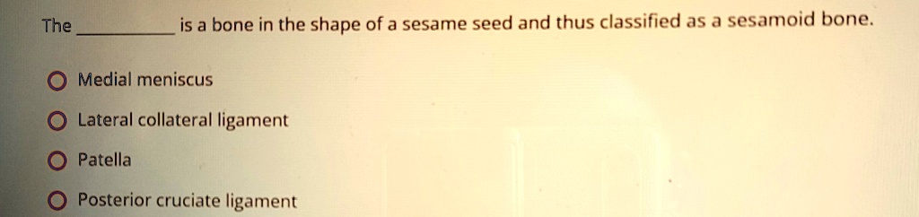 the is a bone in the shape of a sesame seed and thus classified as a ...