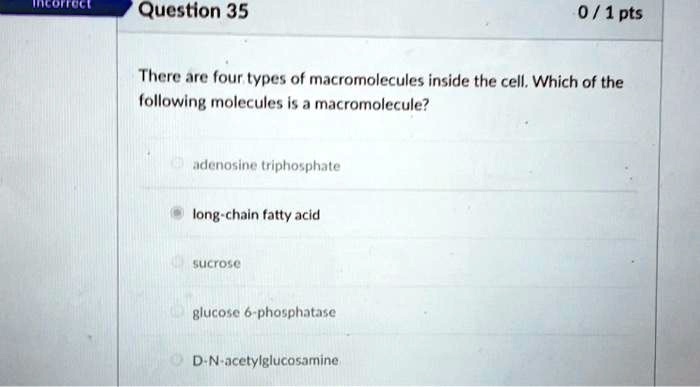 SOLVED: Incorrect Question 35 0/1 pts There are four types of ...