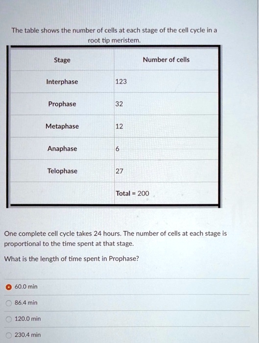 the table shows the number of cells at each stage of the cell cycle in ...