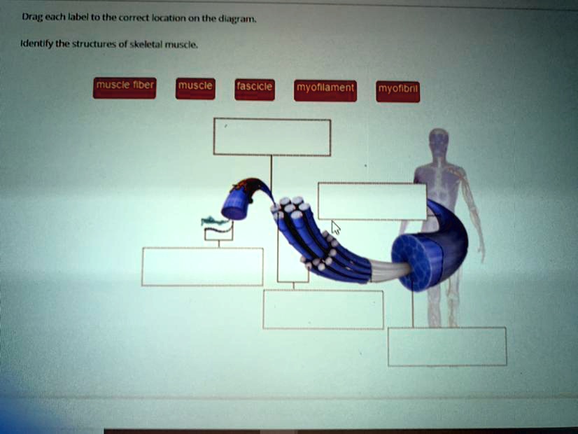 SOLVED: ANSWER THIS NOW!!!! 40 points!!! Drag each label to the correct ...
