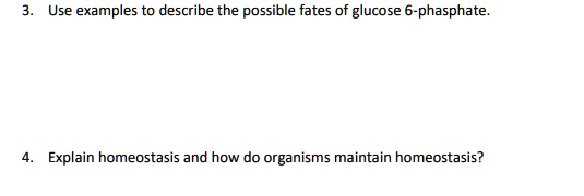 use examples to describe the possible fates of glucose 6 phasphate ...