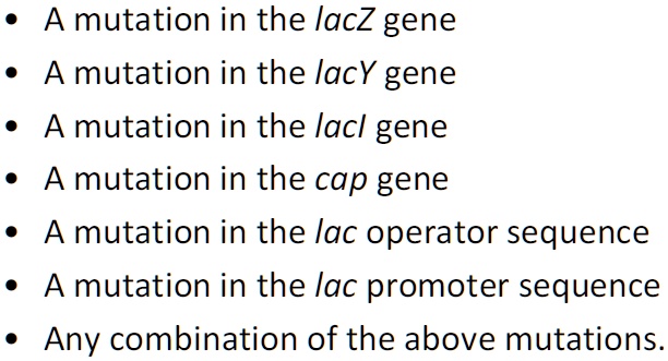 SOLVED: mutation in the lacZ gene mutation in the lacY gene mutation in ...