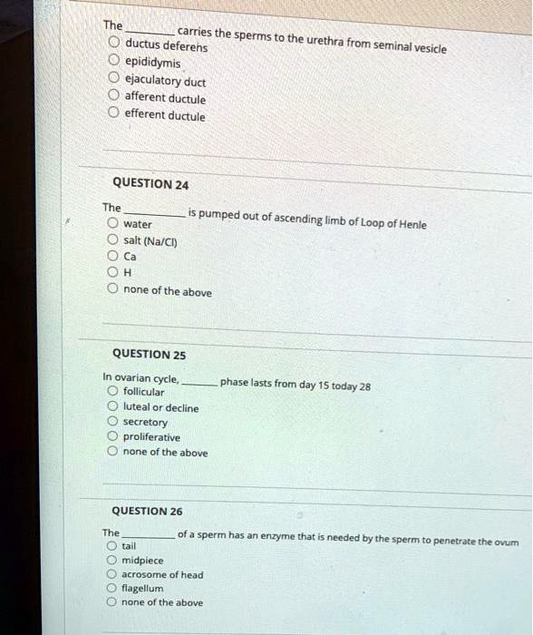 the ductus deferens carries the sperms to the urethra from seminal ...