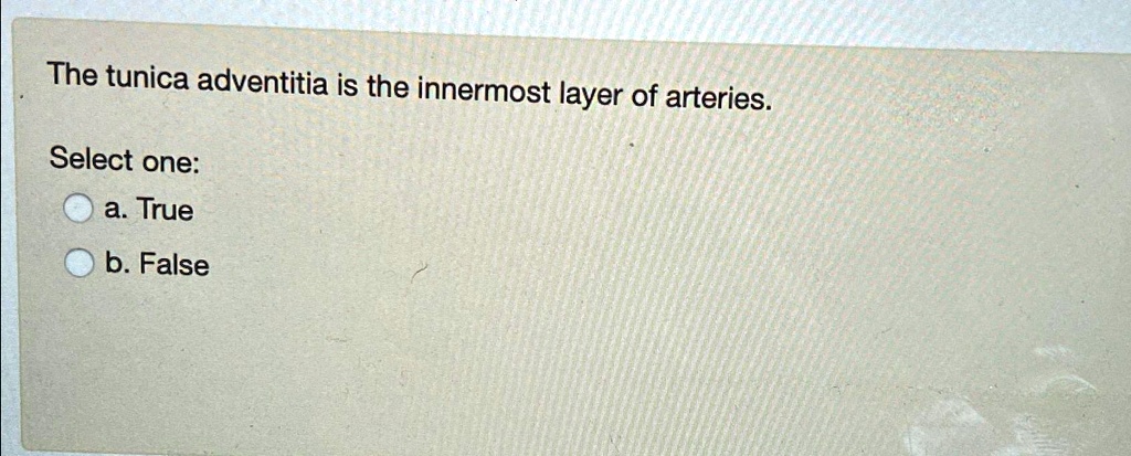 SOLVED: The tunica adventitia is the innermost layer of arteries. Select one: a. True b. False ...