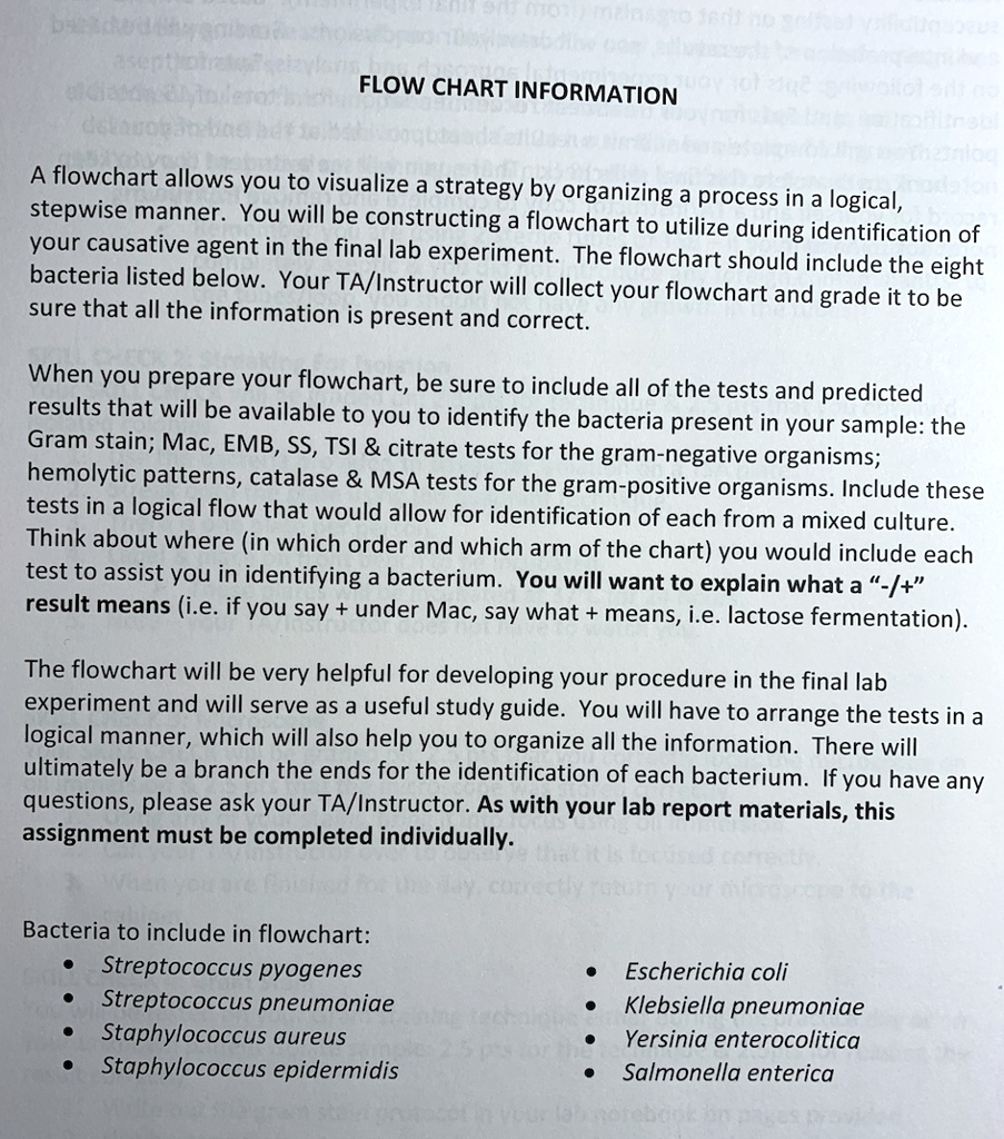 flow chart information s flowchart allows you to visualize a strategy ...