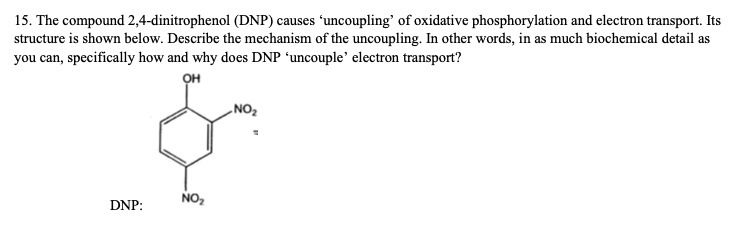 15. The compound 2,4-dinitrophenol (DNP) causes 'uncoupling' of oxidative phosphorylation and ...