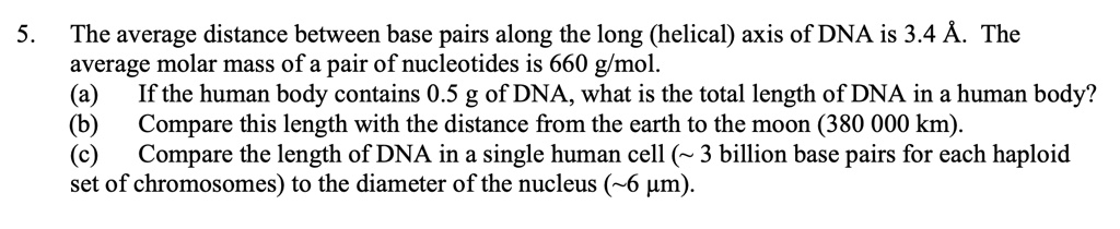 SOLVED:The average distance between base pairs along the long (helical ...