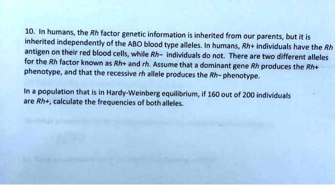 in humans the rh factor genetic information is inherited from our ...