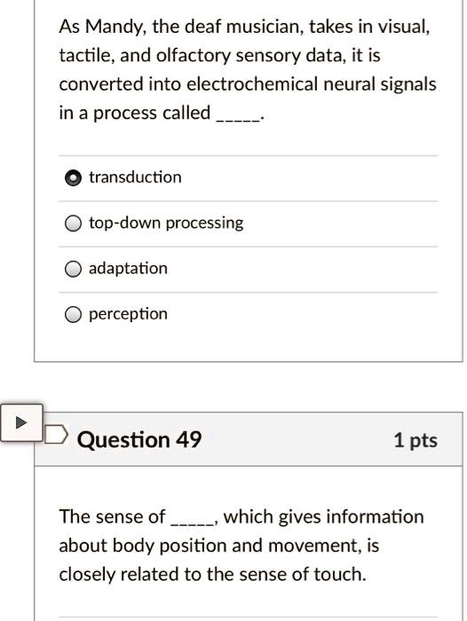SOLVED: As Mandy, the deaf musician, takes in visual, tactile, and olfactory sensory data, it is ...
