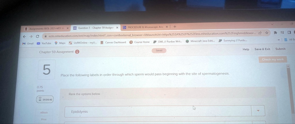 [GET ANSWER] Assignments: BIOL-2021-M51 AXM Question 5 - Chapter 59 Assignn X PROCEDURE B ...