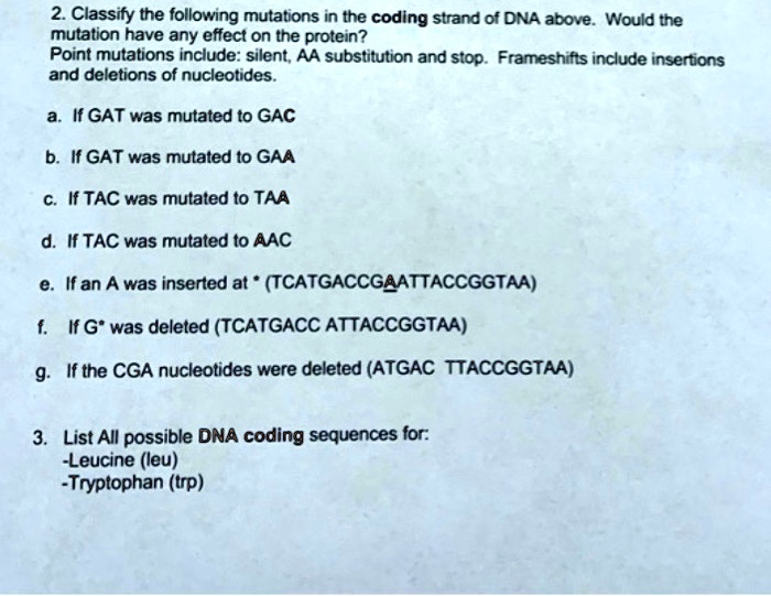 Solved Classify The Following Mutations In The Coding Strand Of Dna
