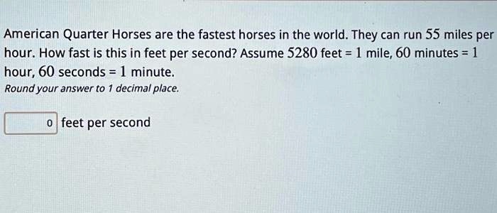 American Quarter Horses are the fastest horses in the world. They can ...