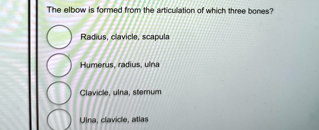 The elbow is formed from the articulation of which three bones? Radius ...