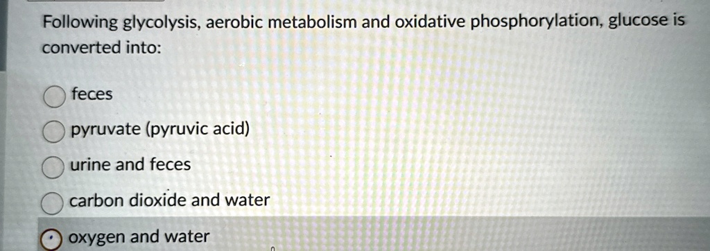 following glycolysis aerobic metabolism and oxidative phosphorylation glucose is converted into ...