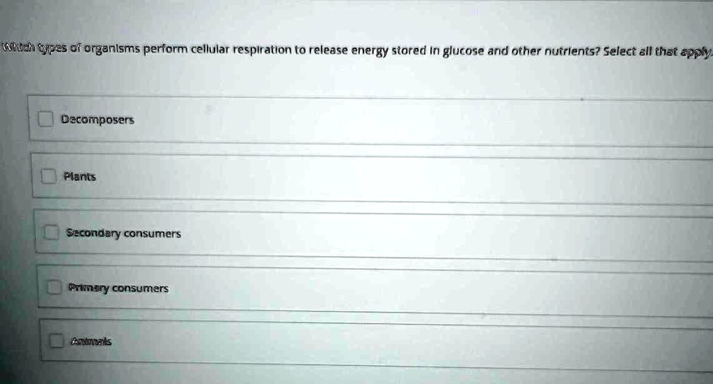 Which types of organisms perform cellular respiration to release energy ...