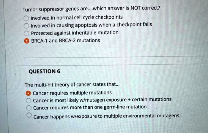 SOLVED: Tumor suppressor genes are: which answer is NOT correct ...