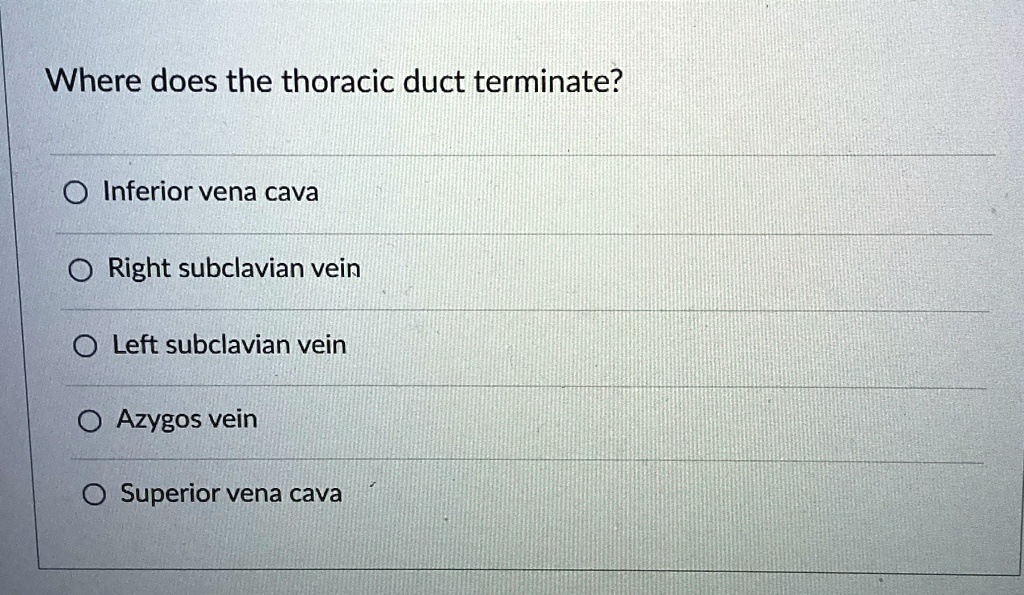 Where does the thoracic duct terminate? Inferior vena cava Right ...