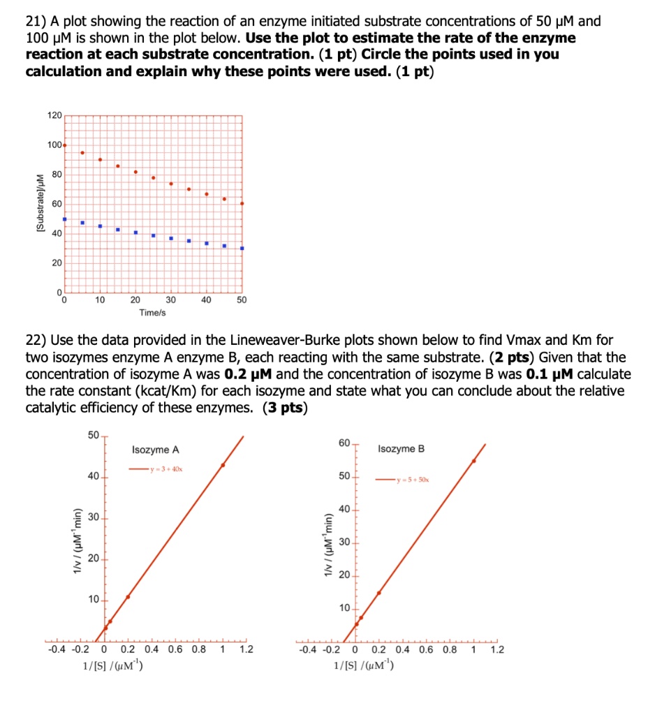 SOLVED:21) A plot showing the reaction of an enzyme initiated substrate ...
