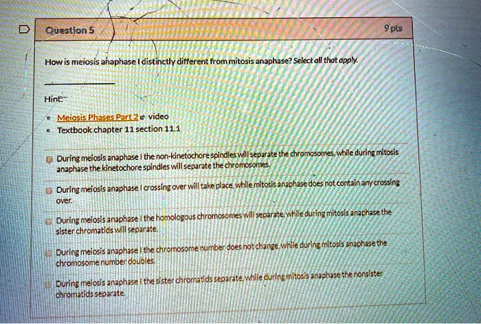 SOLVED:Question 5 pib How is meiosis znaphase distinctly difiterent ...